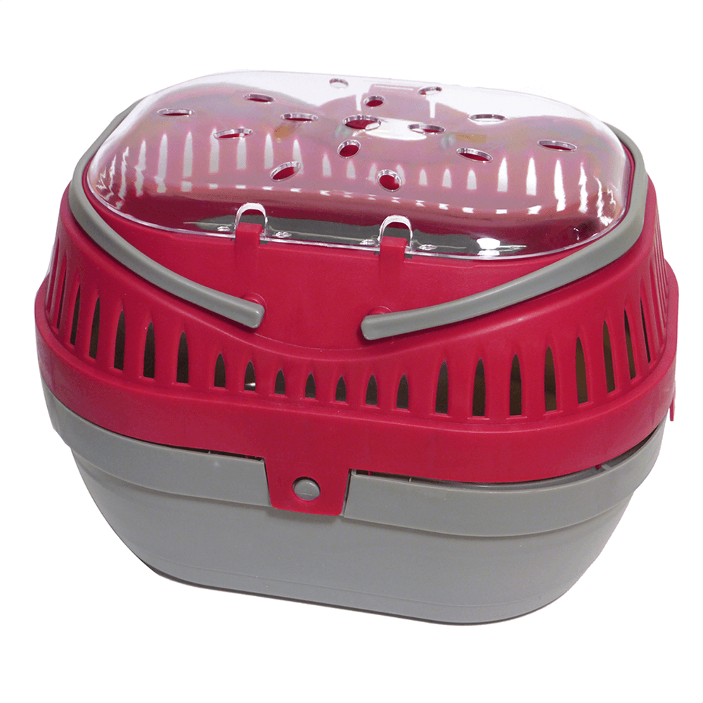 Large Pod Carrier For Guinea Pigs Rats And Mice Guinea Pigs Australia large-pod-carrier-for-guinea-pigs-rats-and-mice-guinea-pigs-australia