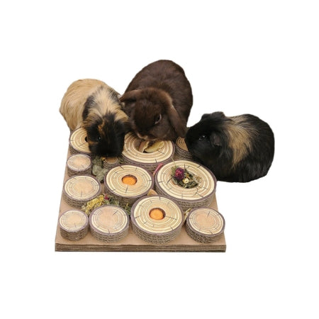 Enrichment Chew Toy – Guinea Pigs Australia
