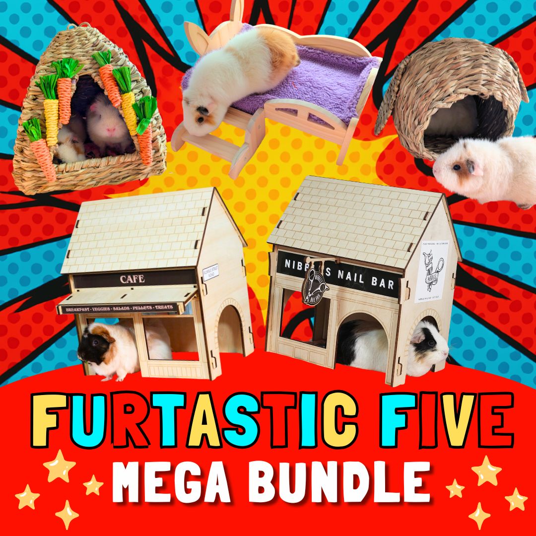 Furtastic Five Mega Bundle – Natural Toy Gift Set for Guinea Pigs & Ra ...
