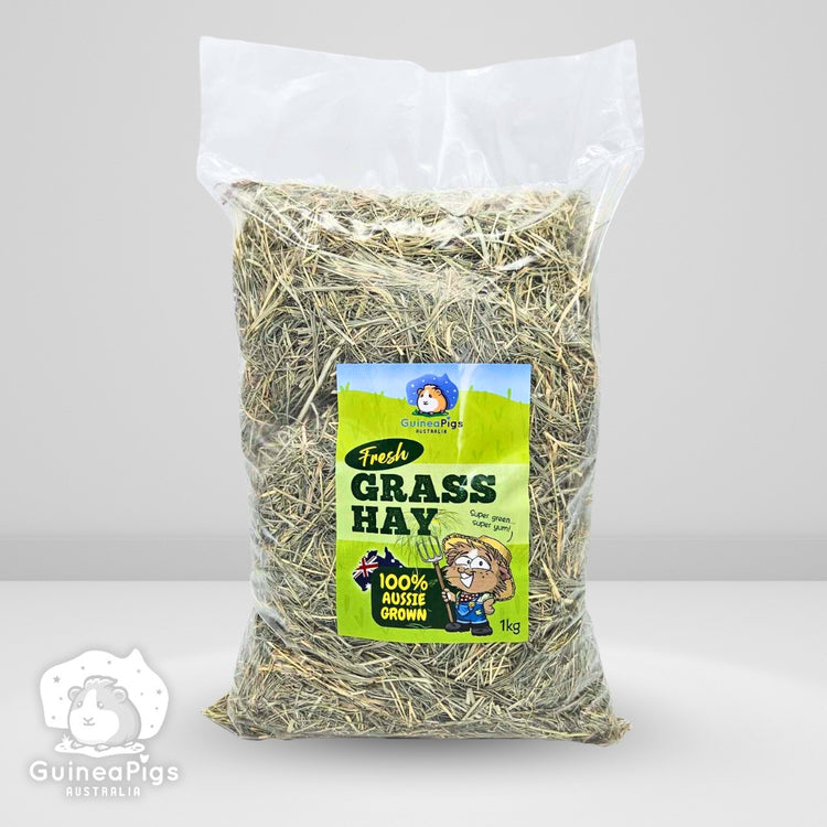 Ozzy Pets Grass Hay for Guinea Pigs – Guinea Pigs Australia