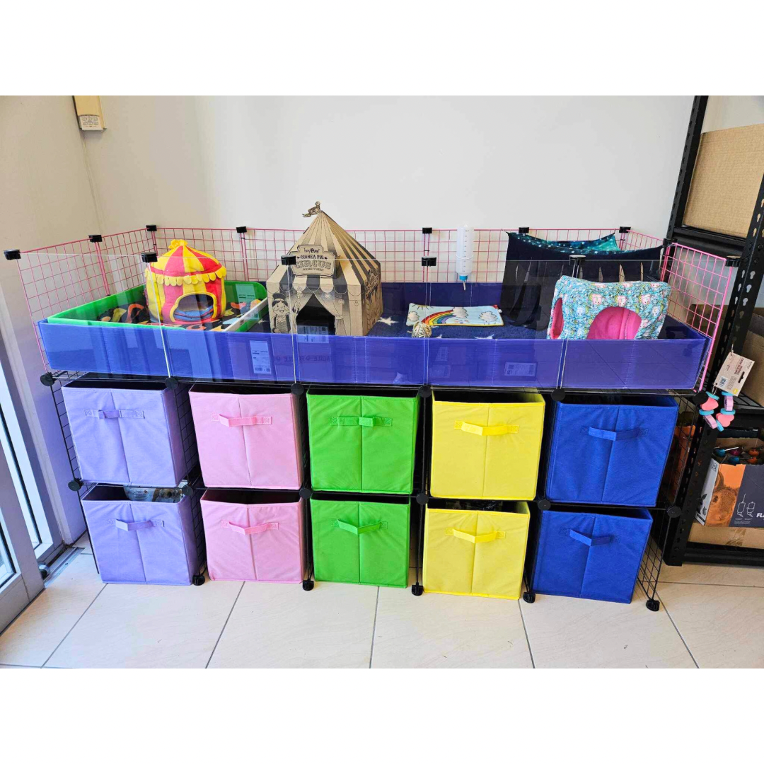 Storage Boxes for C&C – Guinea Pigs Australia
