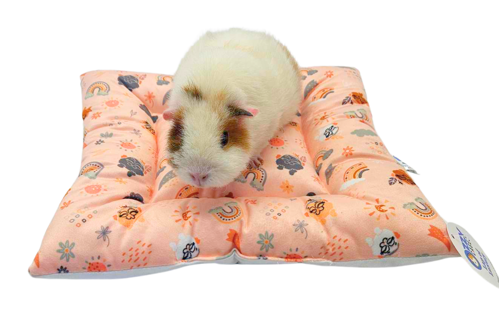 Guinea Pigs Australia Shop - Rabbit Shop Australia - Guinea Pig Shop