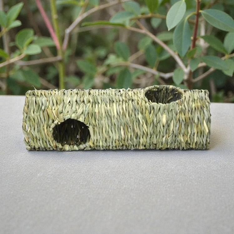 Ozzy Pets Chewy Tube – Guinea Pigs Australia
