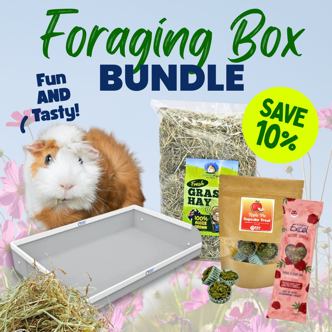 Hay Box for Guinea Pigs and Rabbits | Guinea Pigs Australia Foraging