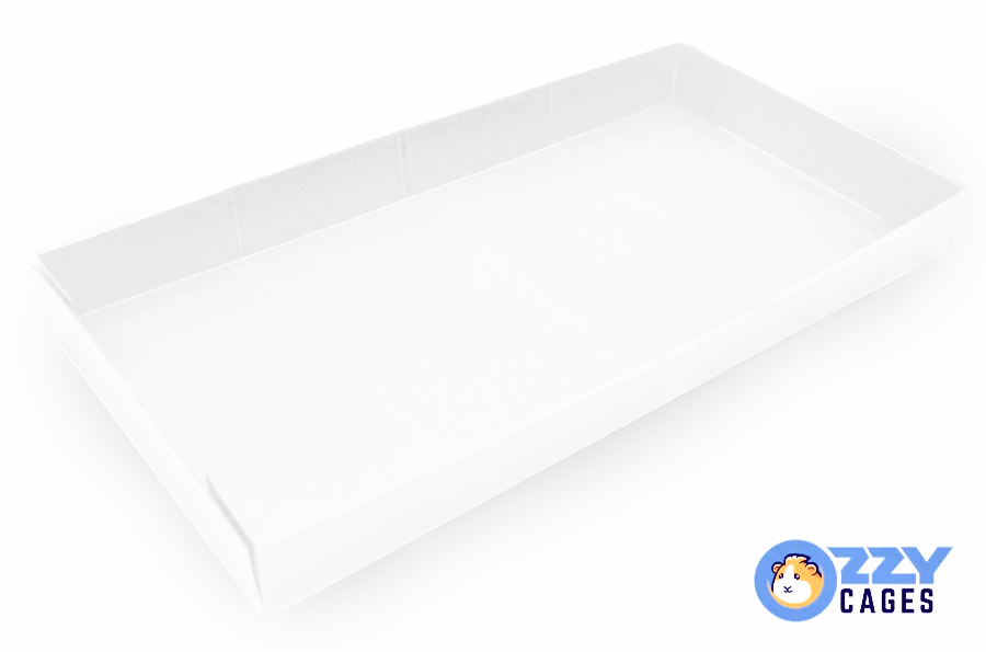 Corflute Bases – Guinea Pigs Australia