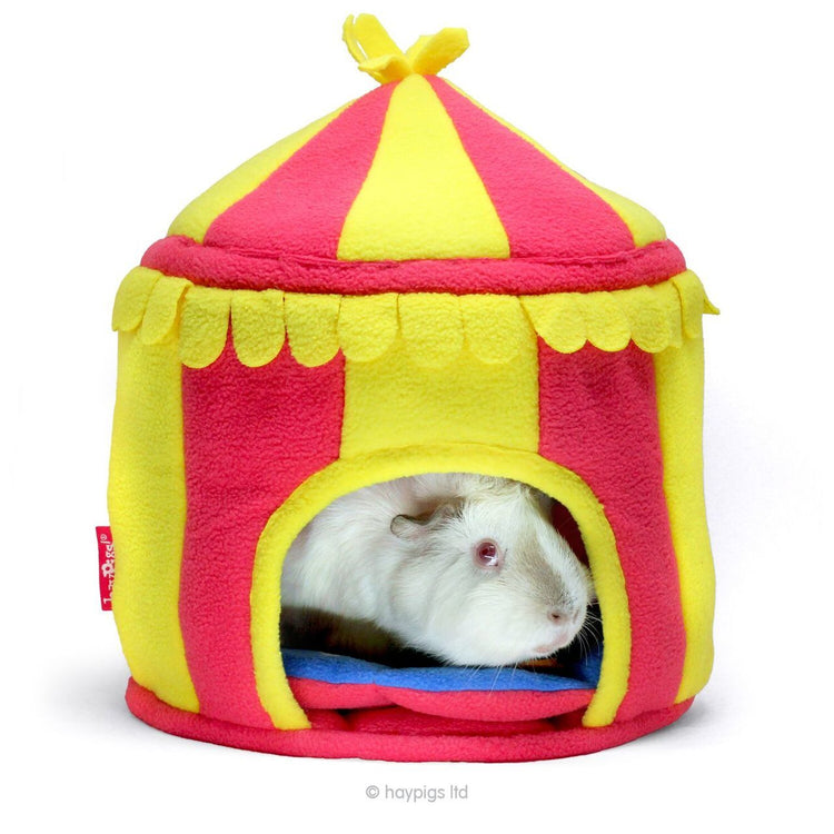 Circus Hidey Hut – Guinea Pigs Australia